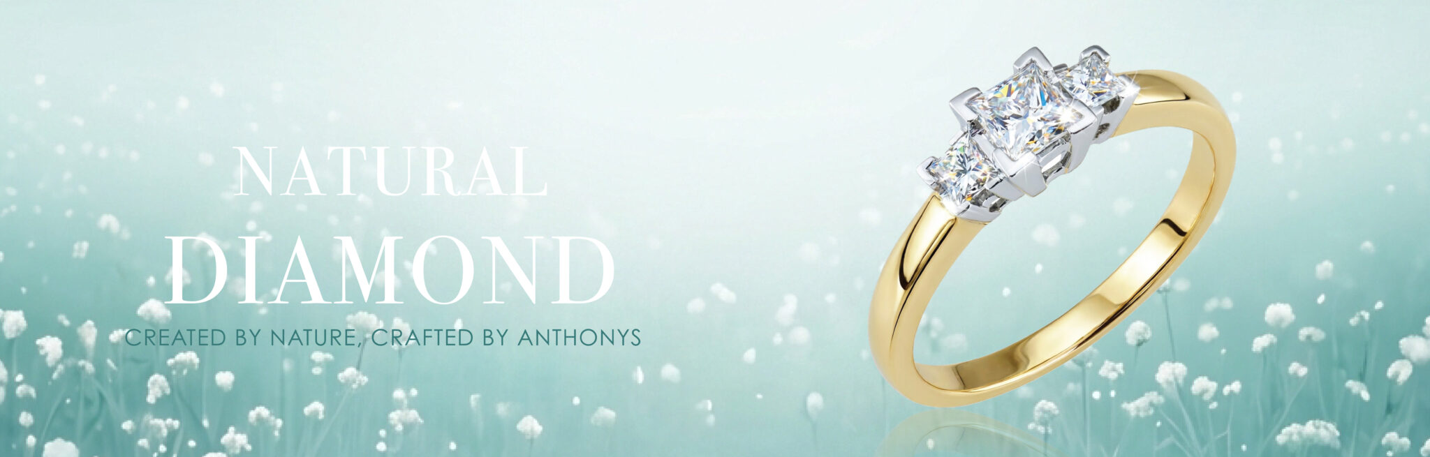 Natural Diamonds: Rarity, Beauty, and Enduring Value – Anthonys Fine ...